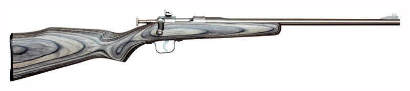 Chipmunk Rifle 22Lr Stainless/Black Laminate - Bolt Action Rifles at ...